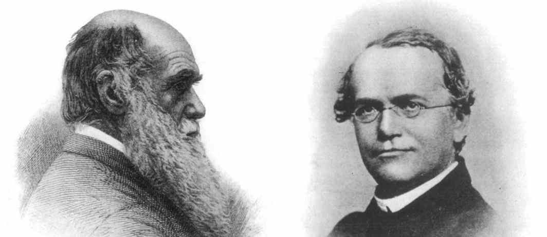 Kannte der Naturforscher Charles Darwin den Mönch Gregor Mendel ...